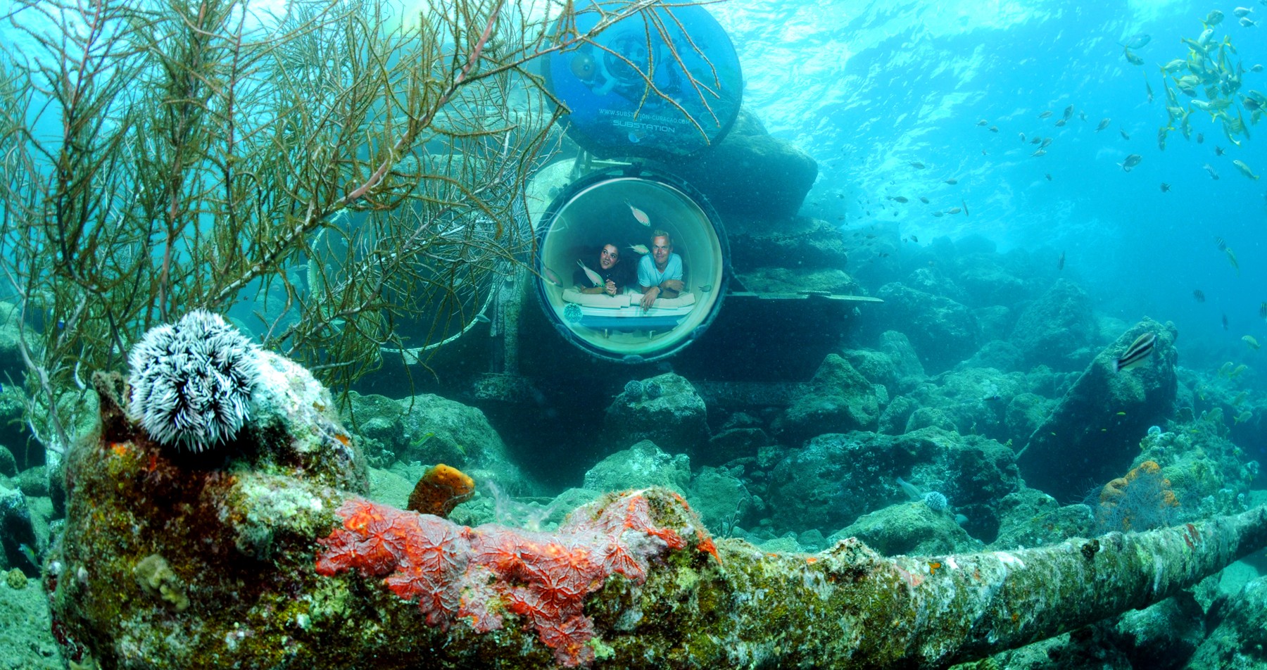 Ocean Lens | Peek Into The Deep | Curaçao Sea Aquarium